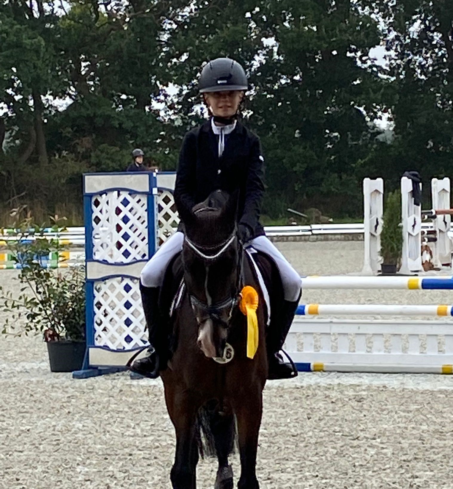 Mette Demmler gewinnt mit Sunbeam E-Springen - Reitverein Zeven