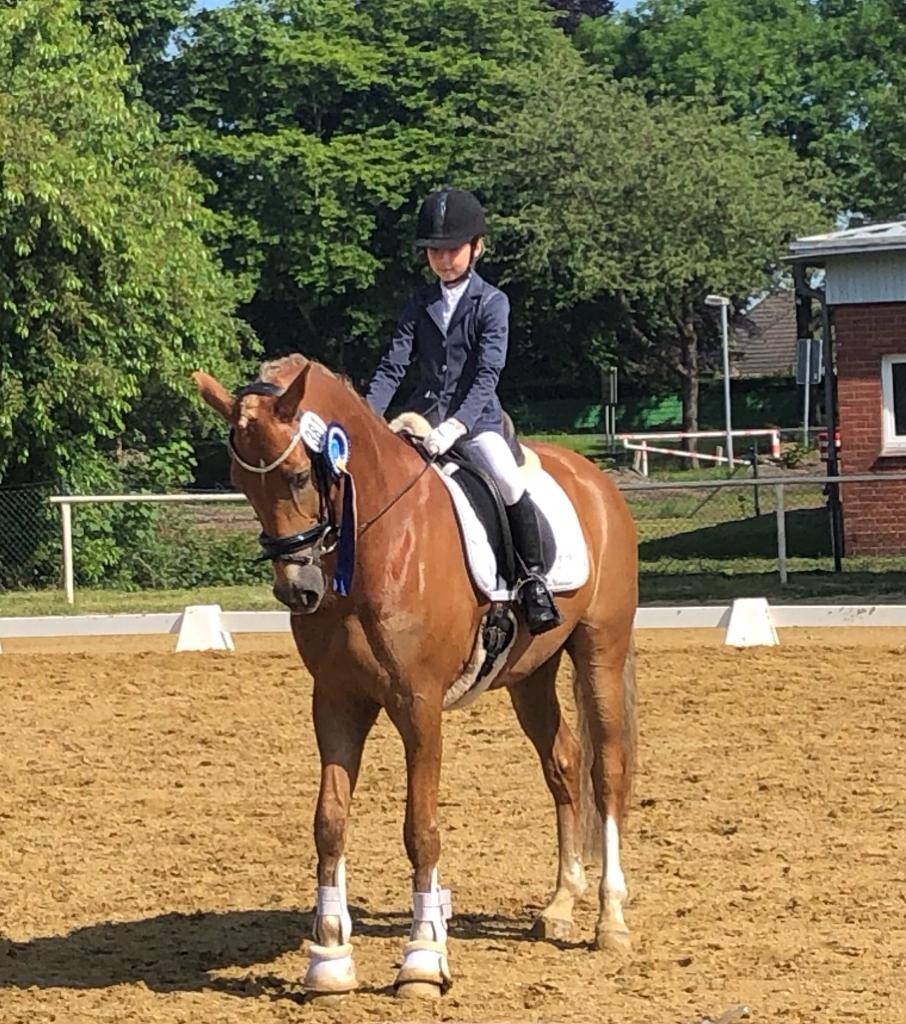 Anna von Helldorff gewinnt E-Dressur in Pennigbüttel - Reitverein Zeven