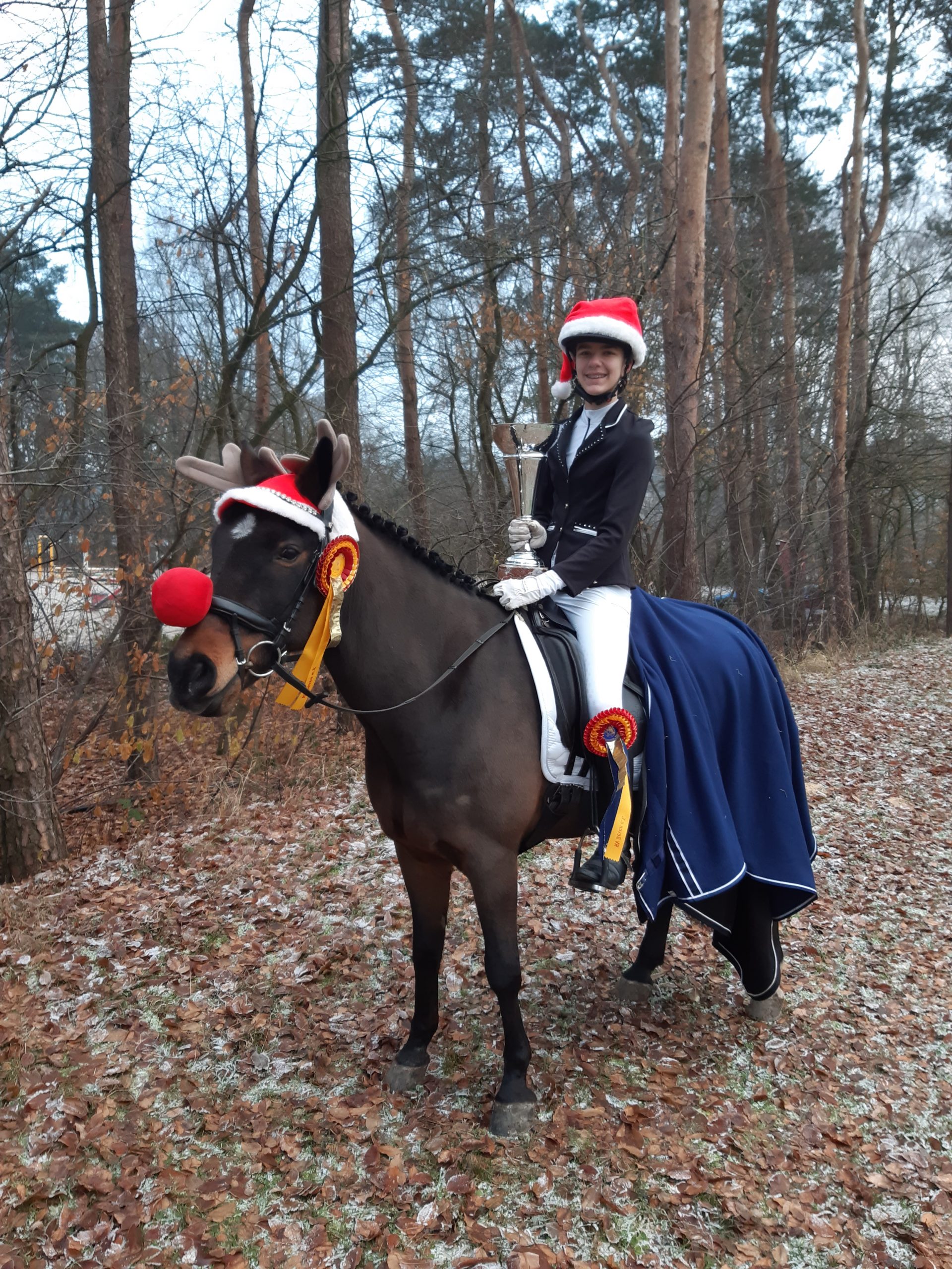 Celina Weis und Vivaldi sind neue Vereinsmeister in der Dressur ...