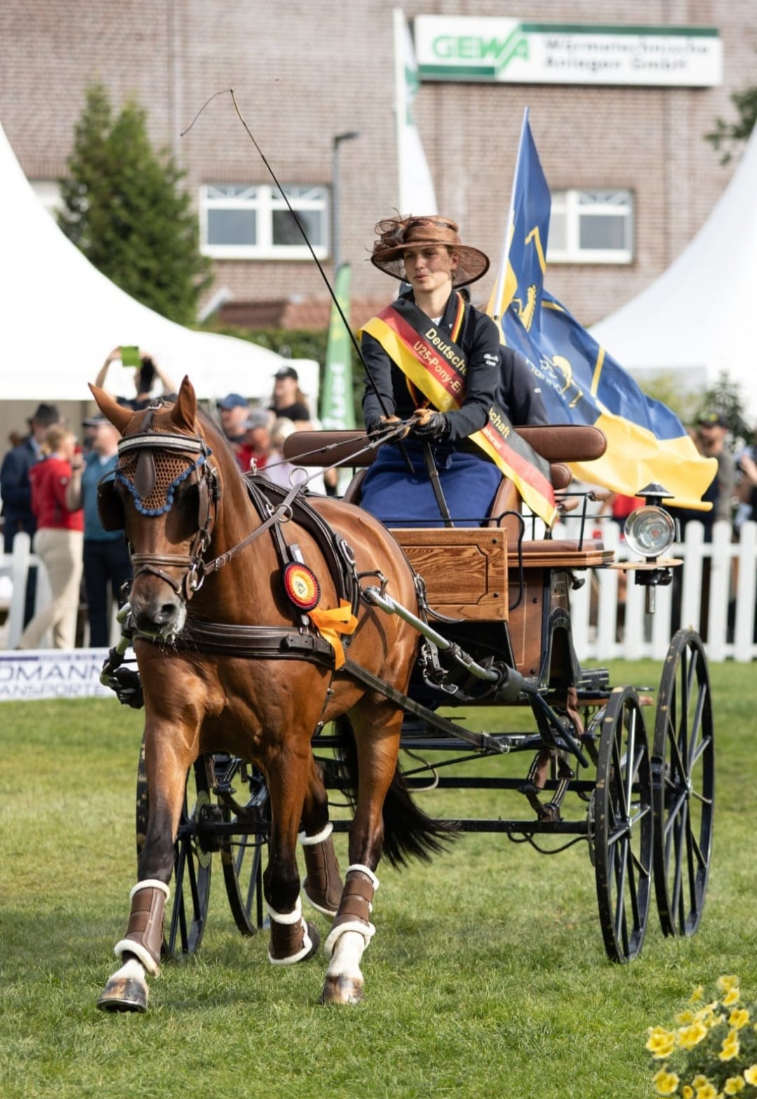 Laura Haase gewinnt Bonze in Driftsethe - Reitverein Zeven